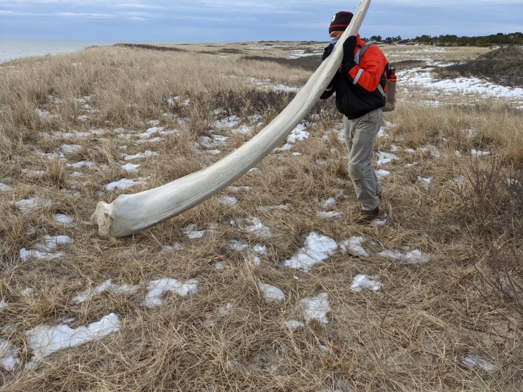Short & Sweet Peek - Discover Nantucket Tours & Discover Nantucket Bike ...